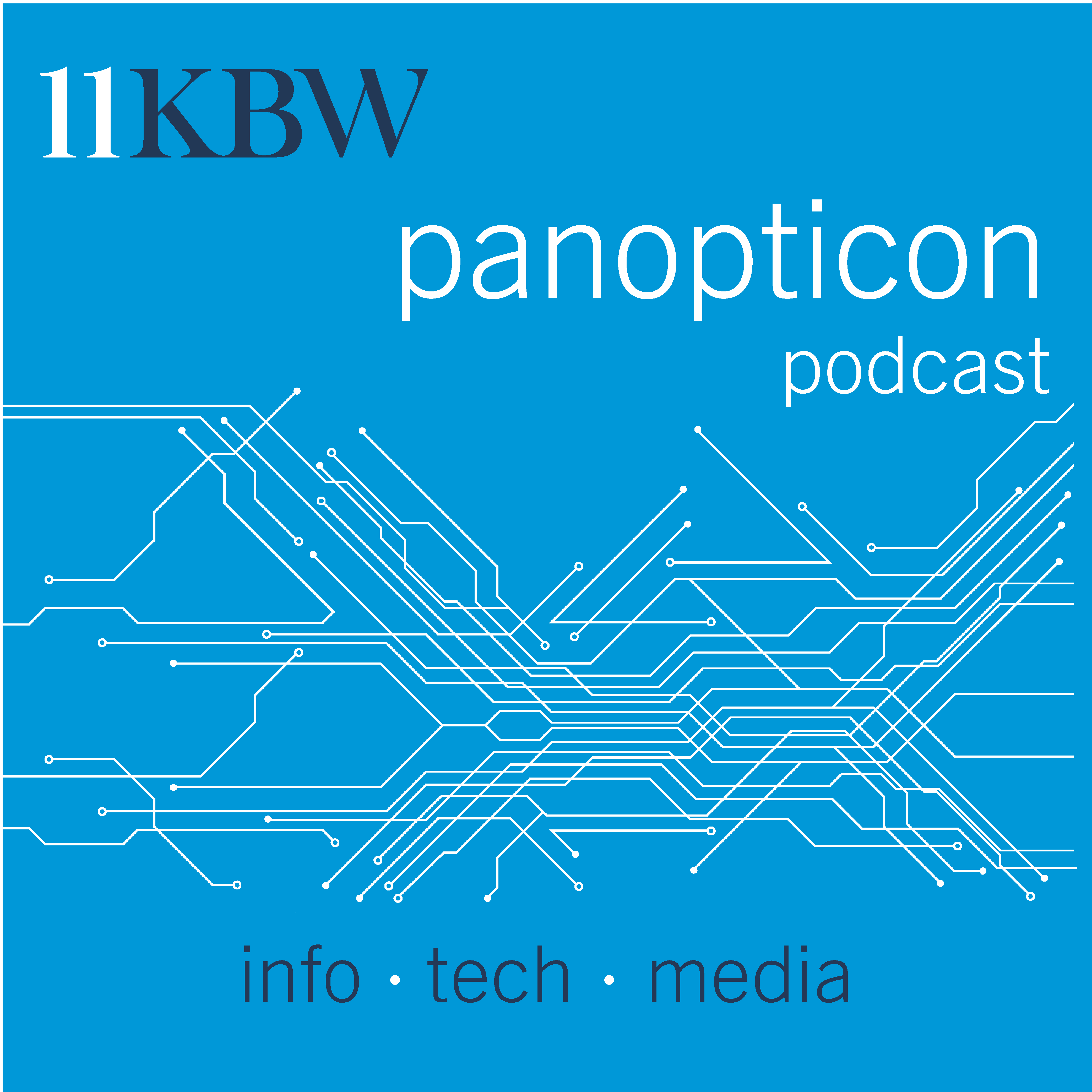 Panopticon Podcast, Episode 2: Collective Litigation (featuring Robin ...